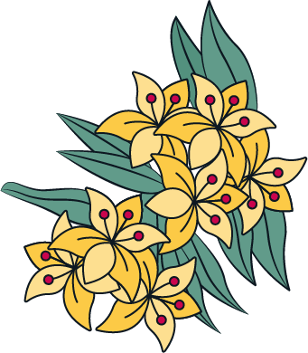 Tutorials — SciPy 2023